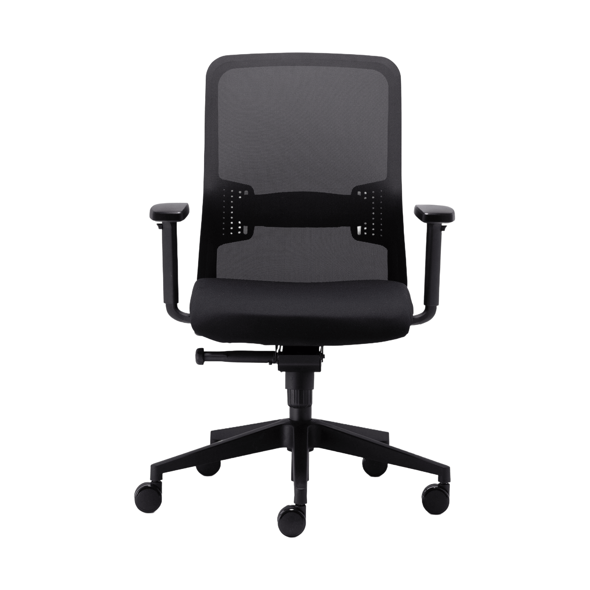 Graphite Ergonomic Office Chair for Comfort & Support